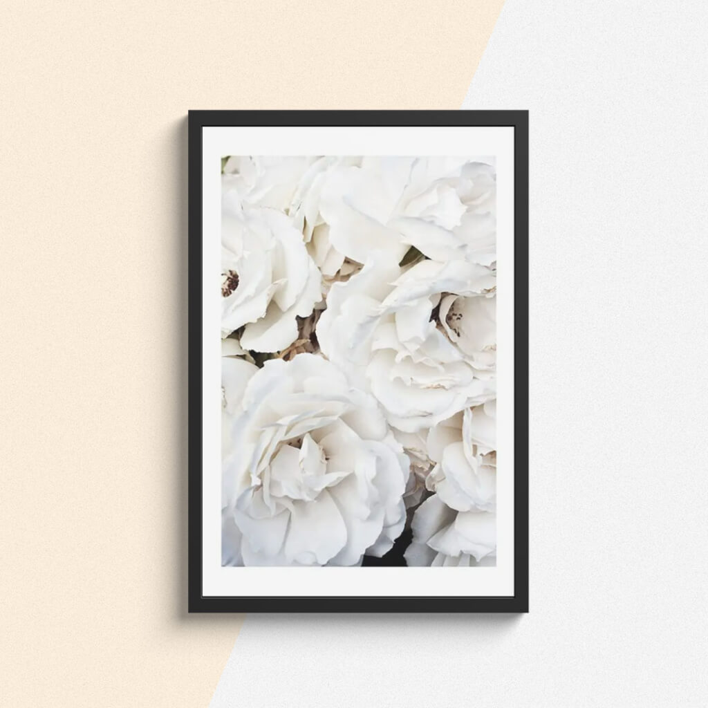Botanique Poster Box – N°1 des sites de cadeaux en ligne